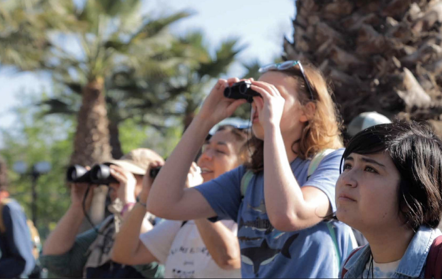 Seminario Investigación Antumapu 2025 Todo lo que siempre quisiste saber sobre Comunicación de ...